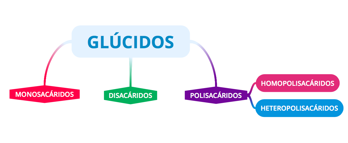 Glúcidos :: codigodoctora